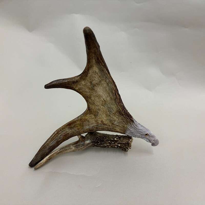 Moose Antlers - Etsy