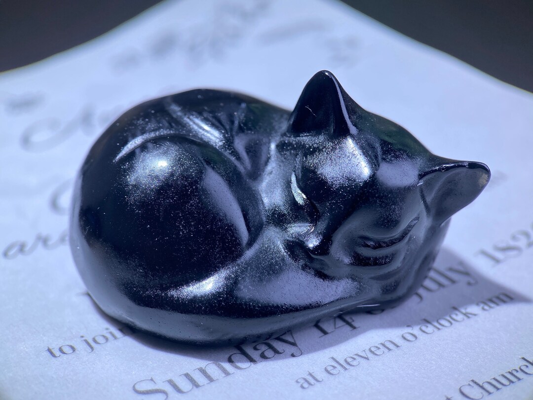 Natrual Obsidian Cute Fox cat obsidian Carving crystal - Etsy