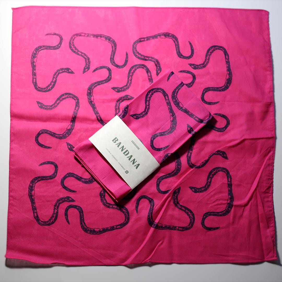 Pink Wormie Bandana - Etsy