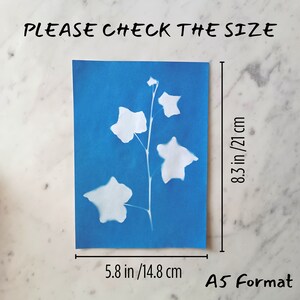 Easy Cyanotype Printing Kit, Sun Printing Kit, Solar Printing Kit ...