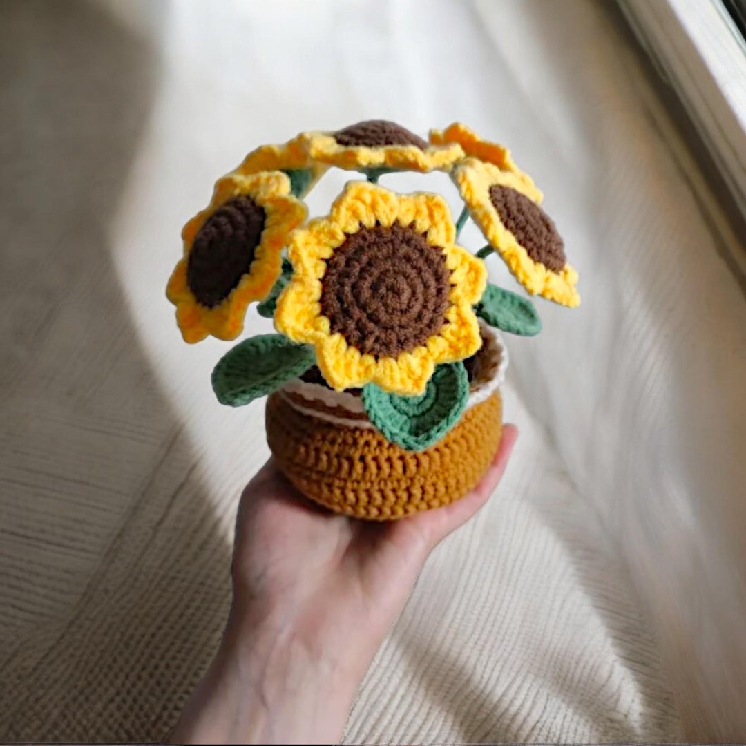 Crochet Starter Kit, Crochet Sunflowers Tutorial, Beginner Crochet ...