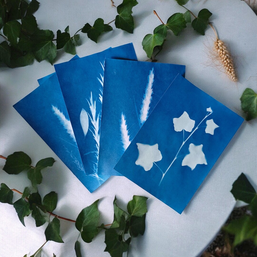 Easy Cyanotype Printing Kit, Sun Printing Kit, Solar Printing Kit ...