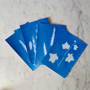Easy Cyanotype Printing Kit, Sun Printing Kit, Solar Printing Kit ...
