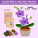 Crochet Flower Starter Kit, Crochet Orchid Tutorial, Beginner Crochet ...