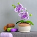 Crochet Flower Starter Kit, Crochet Orchid Tutorial, Beginner Crochet ...