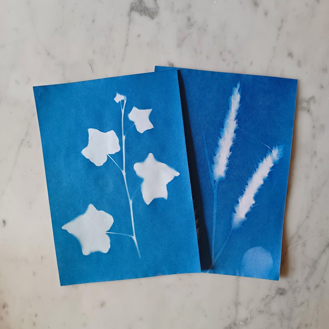 Easy Cyanotype Printing Kit, Sun Printing Kit, Solar Printing Kit ...