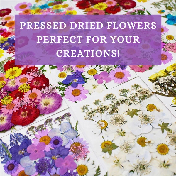 Pressed Flower Kit - Etsy