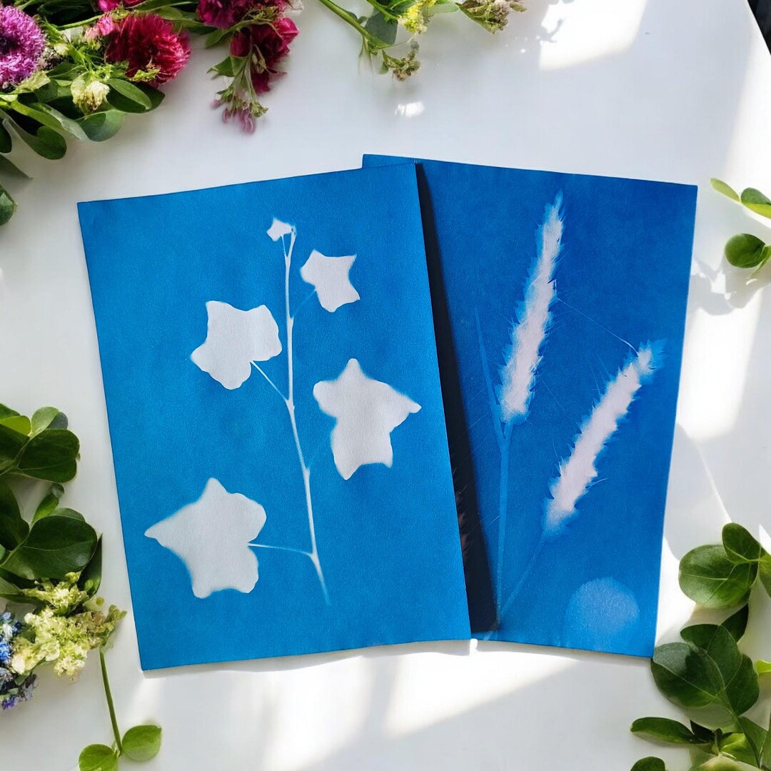 Cyanotype Paper, Easy to Print, Cyanotype Printing Kit, Sun Printing ...