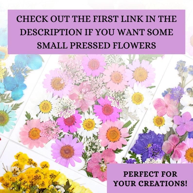 Easy Cyanotype Printing Kit, Sun Printing Kit, Solar Printing Kit ...