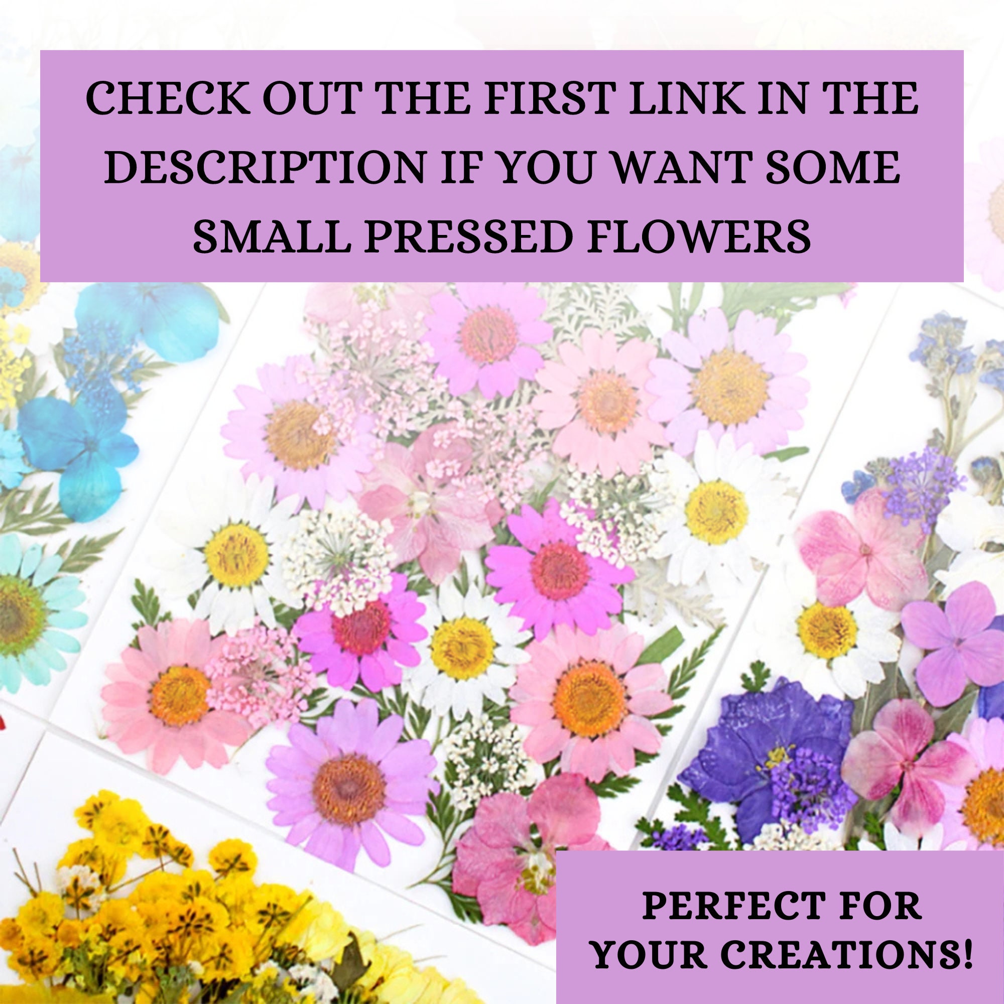 Easy Cyanotype Printing Kit, Sun Printing Kit, Solar Printing Kit ...