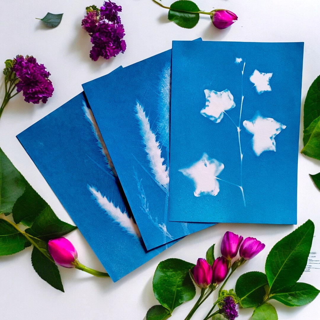 Cyanotype Starter Kit, Cyanotype Printing Kit, Sun Printing, Solar ...