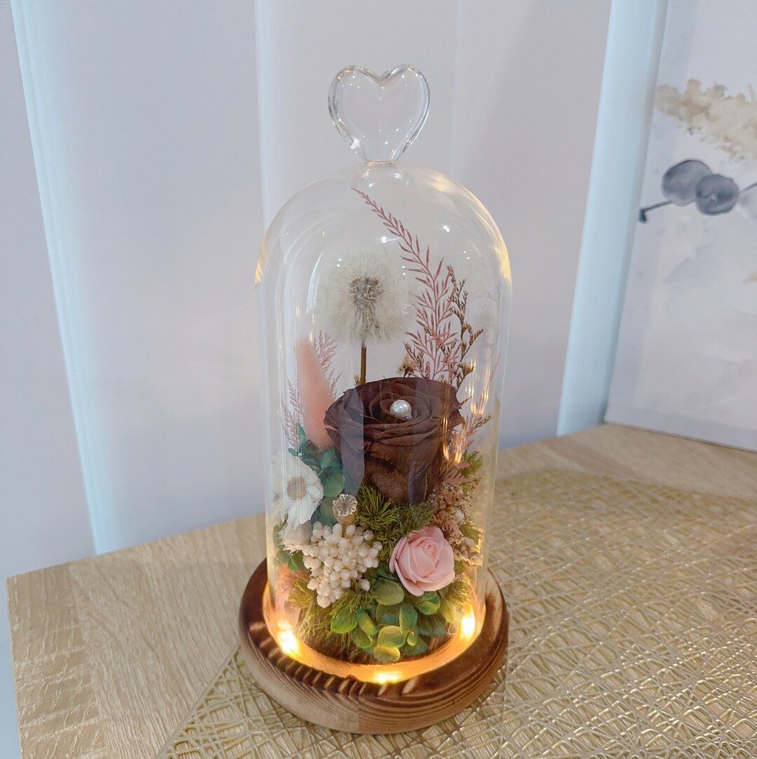 Dried Preserved Flower Arrangement in Glass Globe Dome With Lighting - Etsy