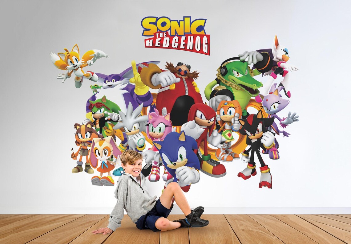 Removable Sonic the Hedgehog Wall Decal Amy Rose Wall Sticker for ...