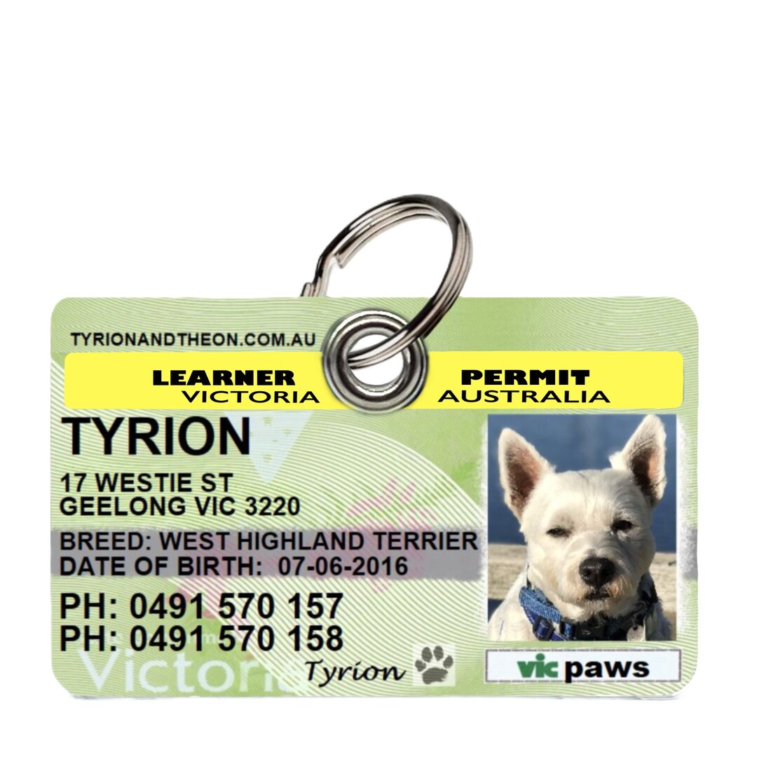 Learner Permit Driver License Collar Tag License ID Tag Custom Tag ...