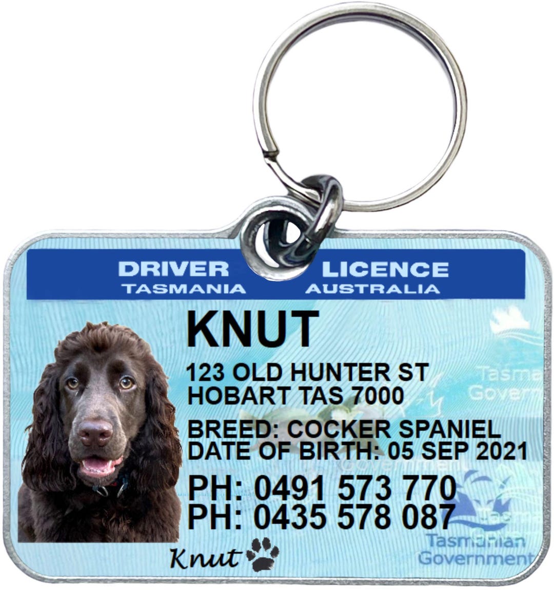 Tasmania Driver License Collar Tag License ID Tag Custom Tag ...