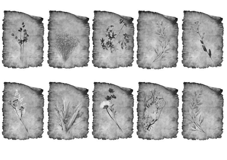 Vintage Botanical Stickers | Dried Flowers Junk Journal Ephemera ...