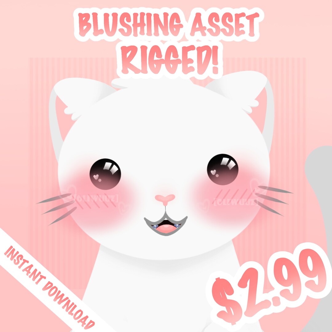 HQ Rigged Blush Vtuber Asset Bundle, Vtuber Kawaii Accessory, Rigged ...
