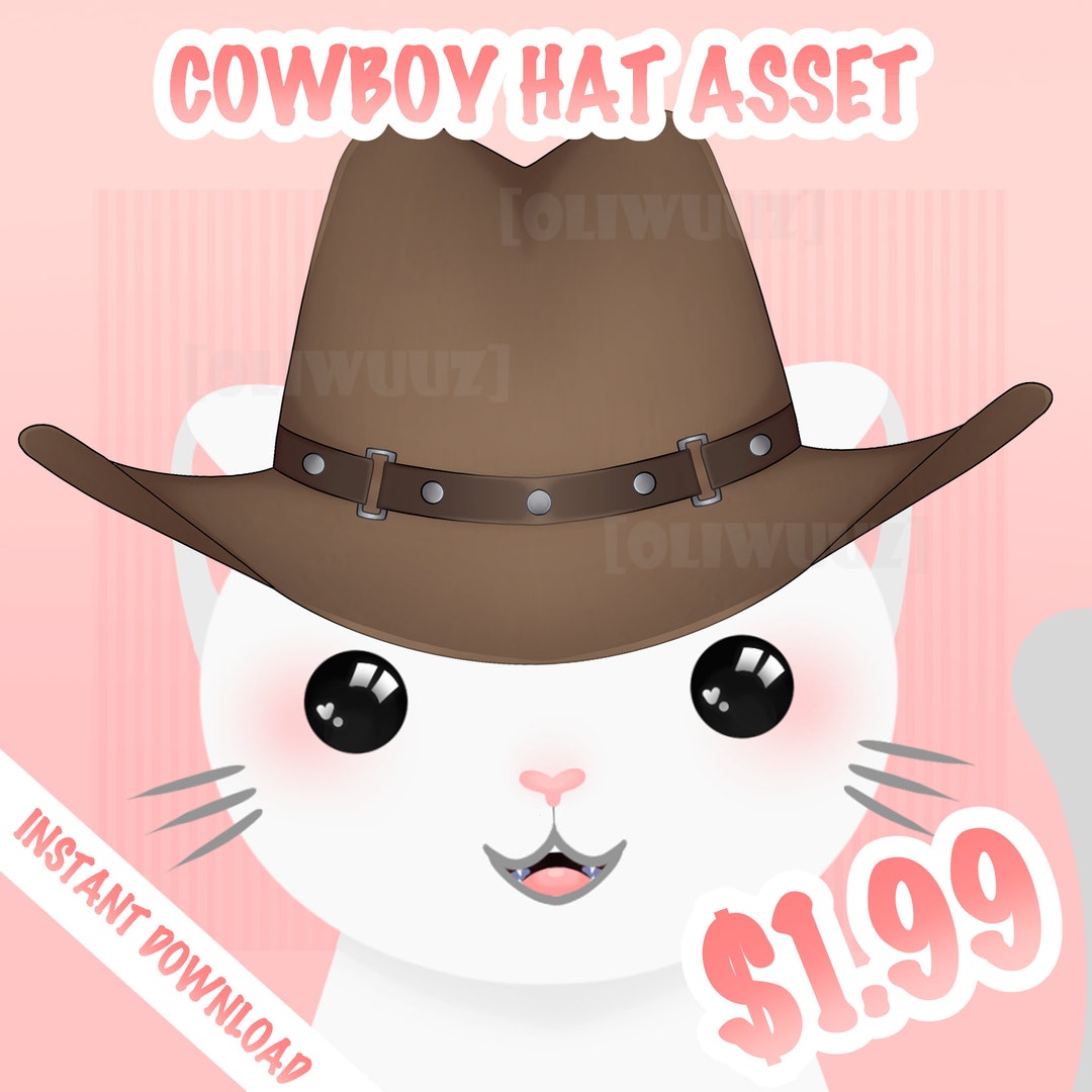 HQ Cowboy Hat Vtuber Asset, Vtuber Cool Accessory, Un-rigged Vtuber ...