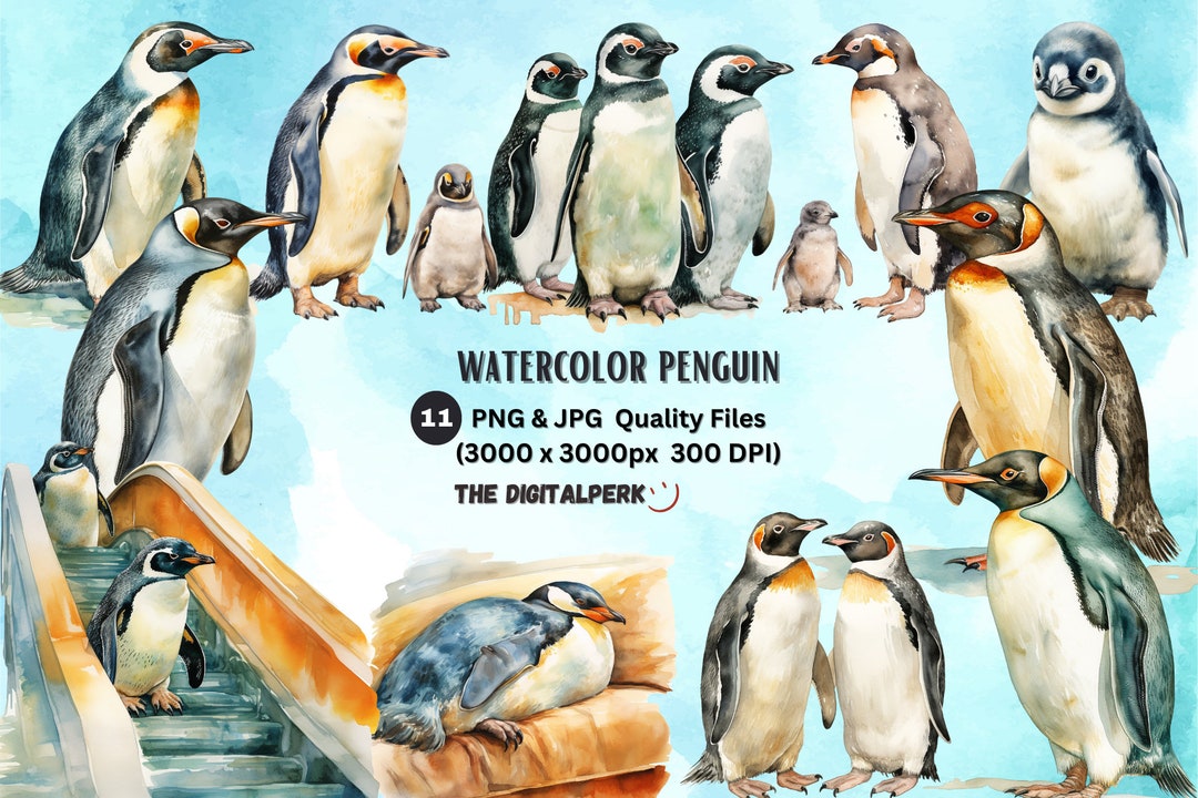 Watercolor Penguin Clipart - for Commercial Use and Others - PNG, JPG ...