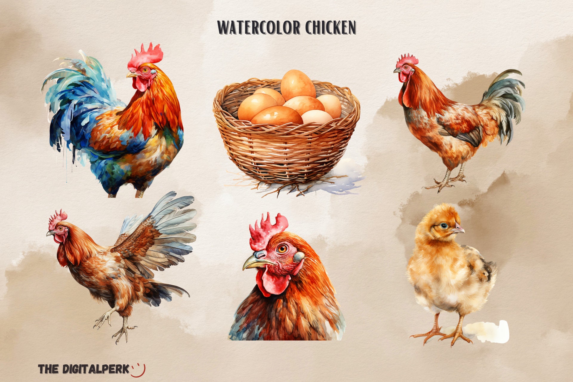 Watercolor Chicken Clipart - for Commercial Use and Others - 12 PNG ...