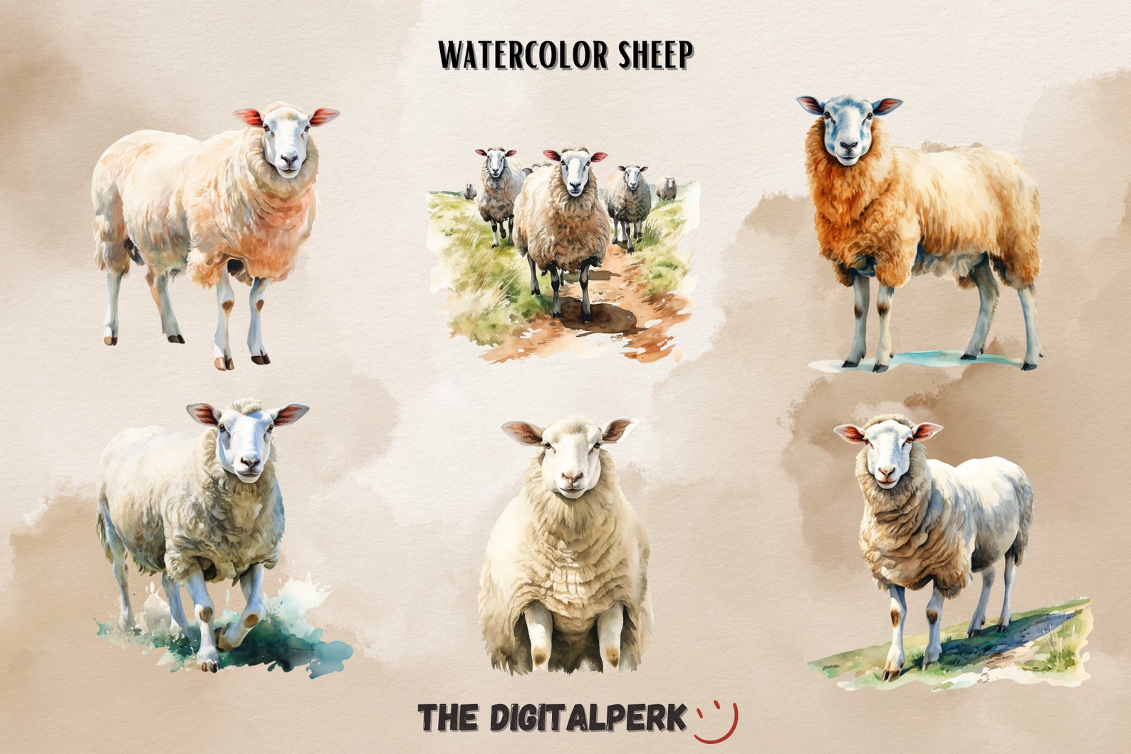 Watercolor Sheep Clipart - for Commercial Use and Others - 12 PNG Files ...