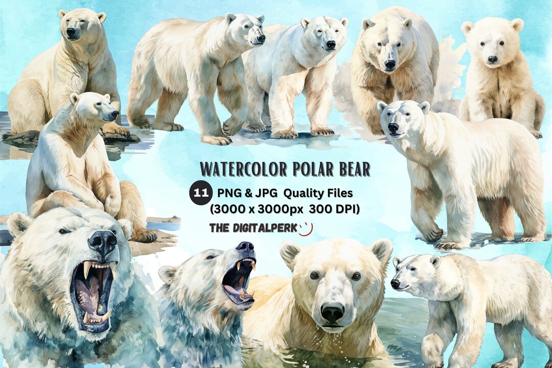 Watercolor Polar Bear Clipart - for Commercial Use and Others - PNG ...