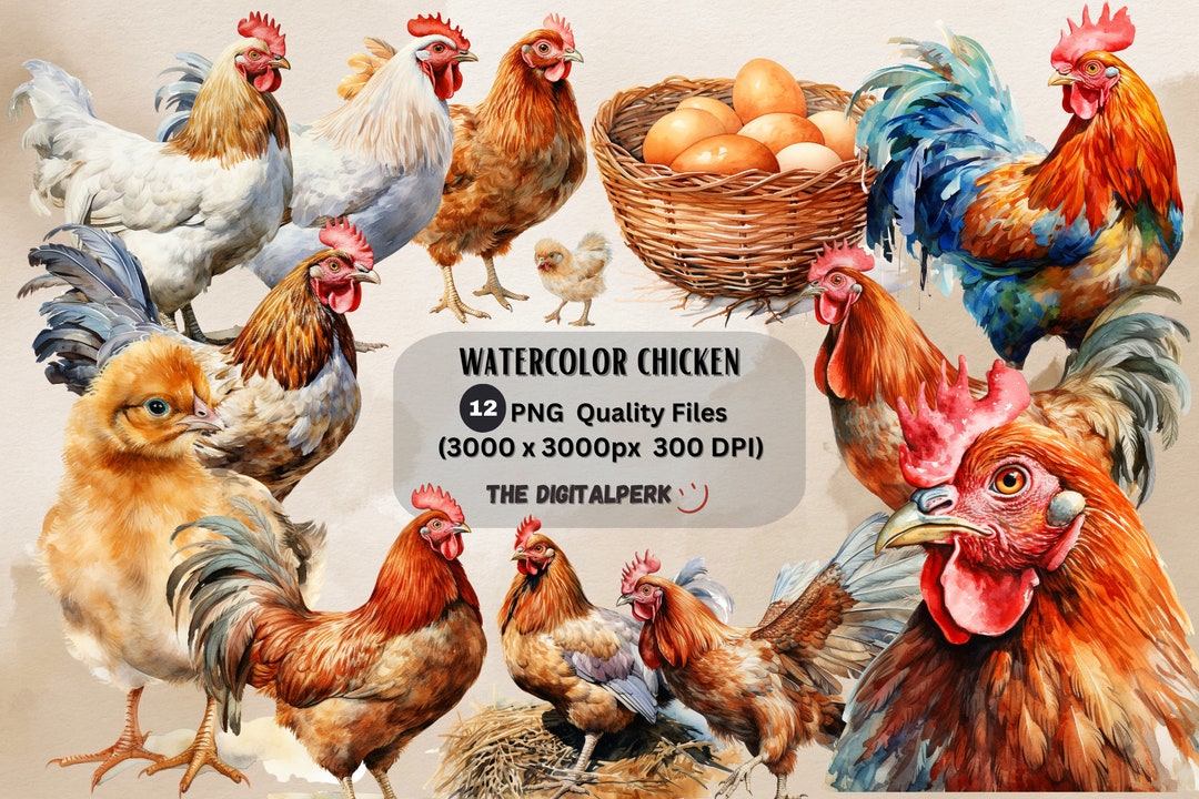 Watercolor Chicken Clipart - for Commercial Use and Others - 12 PNG ...