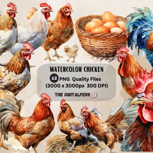 Watercolor Chicken Clipart - for Commercial Use and Others - 12 PNG ...