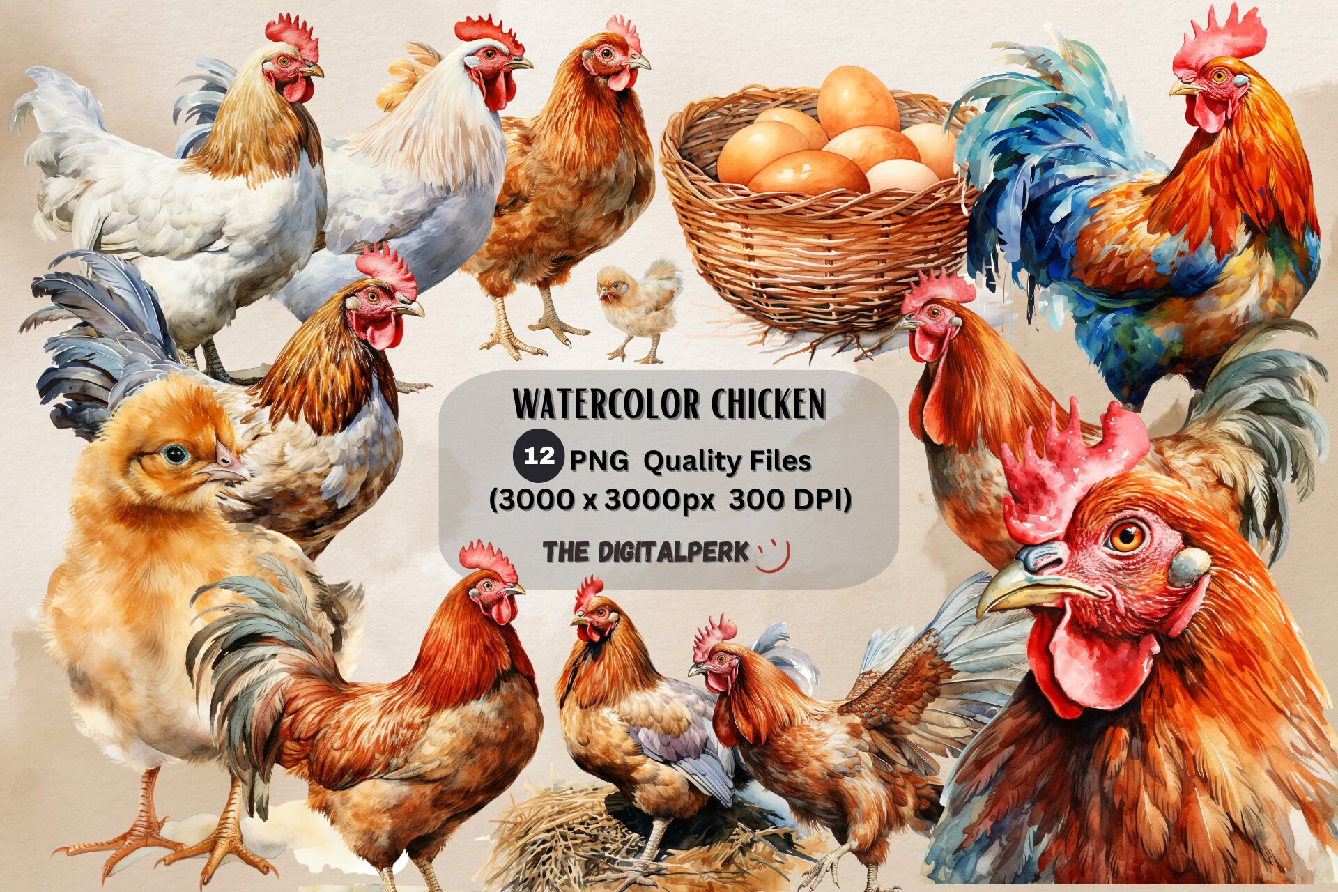 Watercolor Chicken Clipart - for Commercial Use and Others - 12 PNG ...