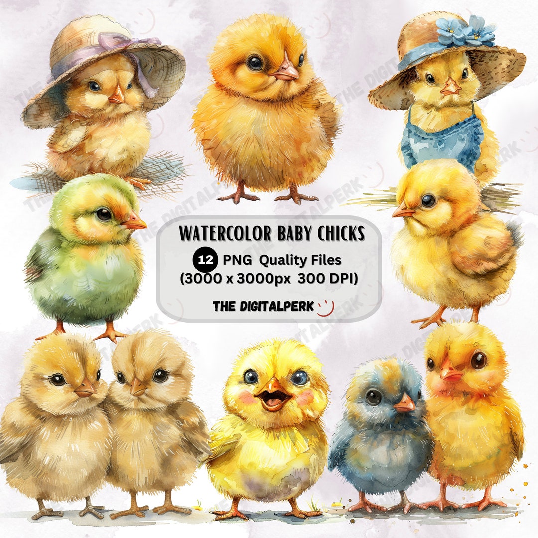 Watercolor Cute Baby Chicks Clipart - for Commercial Use and Others ...