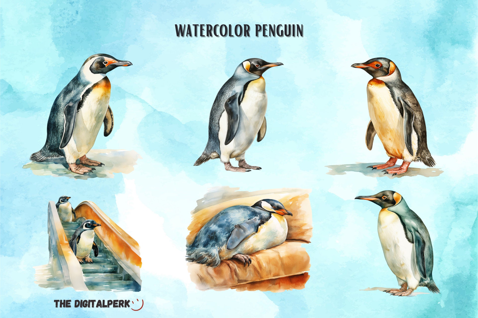 Watercolor Penguin Clipart for Commercial Use and Others PNG, JPG Files ...