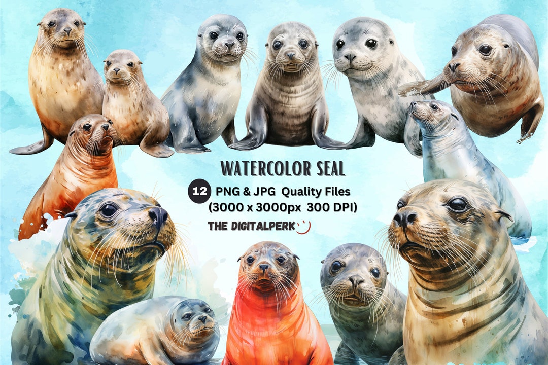 Watercolor Seal Clipart - for Commercial Use and Others - PNG, JPG ...