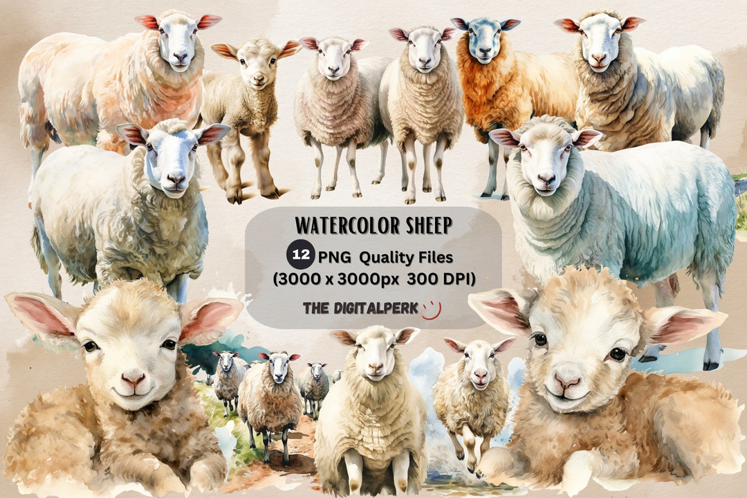 Watercolor Sheep Clipart - for Commercial Use and Others - 12 PNG Files ...