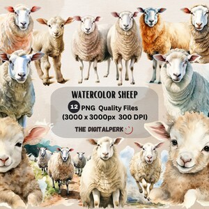 Watercolor Sheep Clipart - for Commercial Use and Others - 12 PNG Files ...