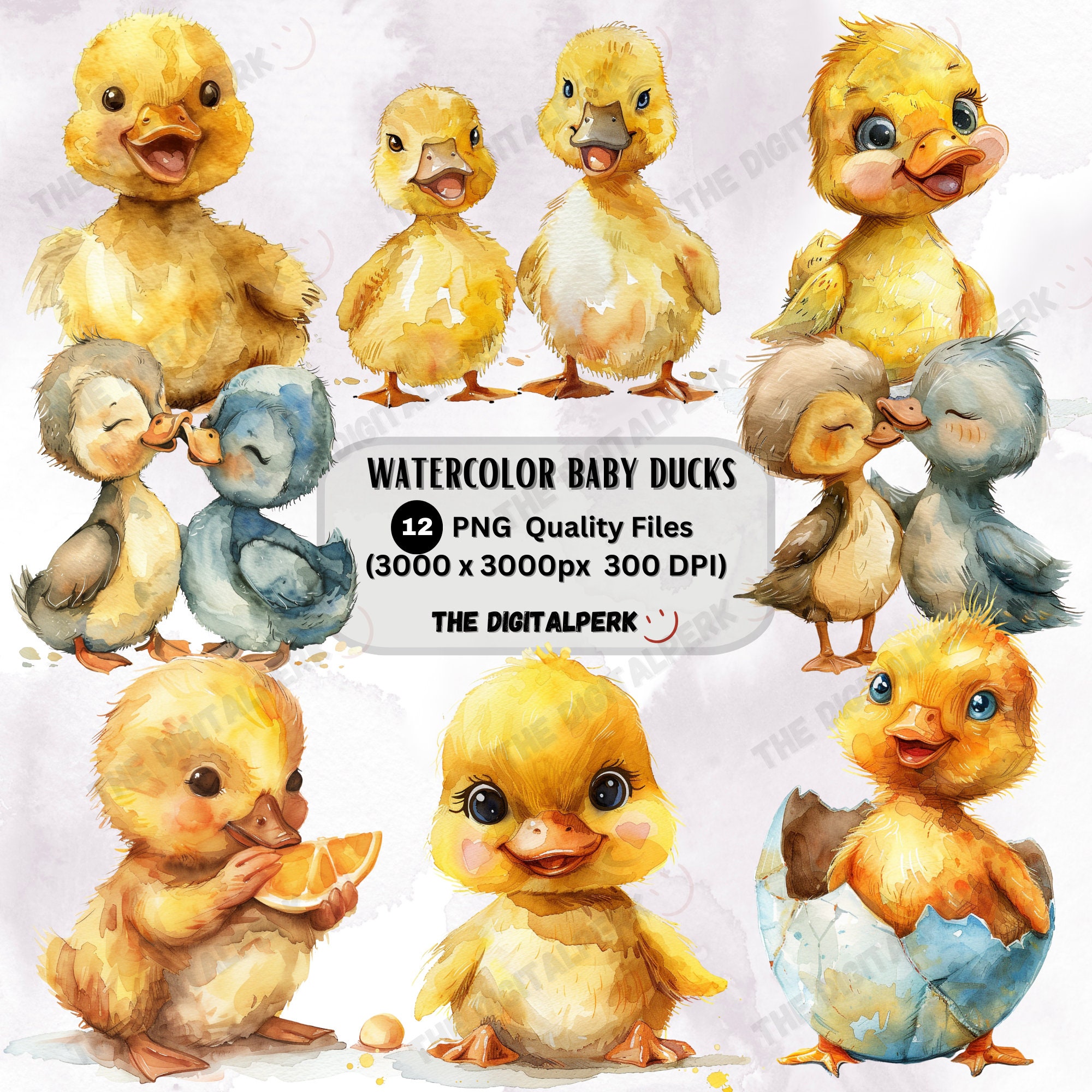 Watercolor Cute Baby Ducks Clipart - for Commercial Use and Others - 12 ...