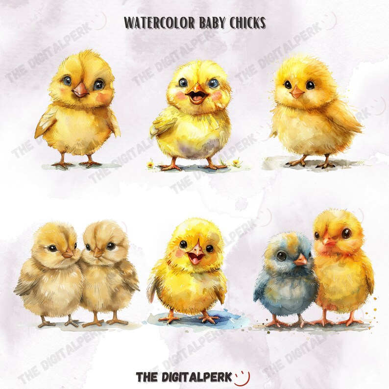 Watercolor Cute Baby Chicks Clipart - for Commercial Use and Others ...