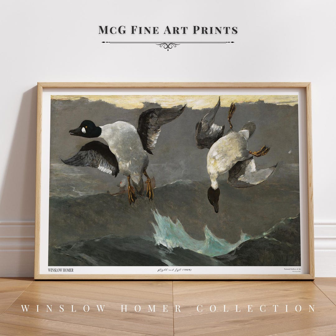 Right and Left Gallery Wall Art Print Vintage Goldeneye Ducks in Flight ...