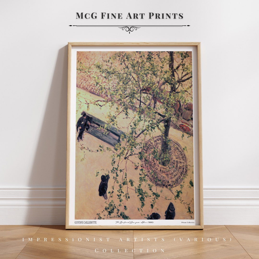The Boulevard Seen From Above Wall Art Poster Print Vintage Paris ...