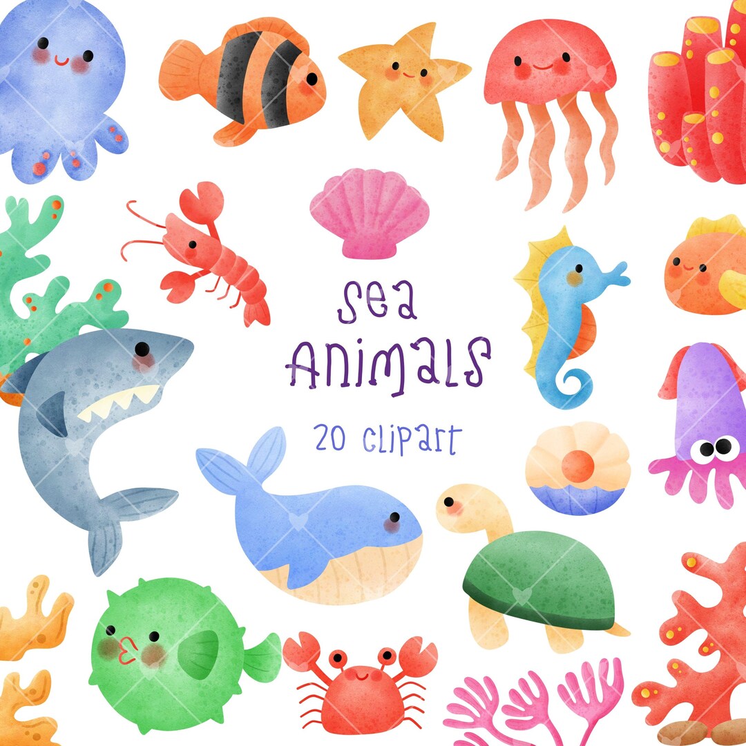 Cute Sea Animals Clipart | Ocean Creatures for Kids | 20 PNG Images - Etsy