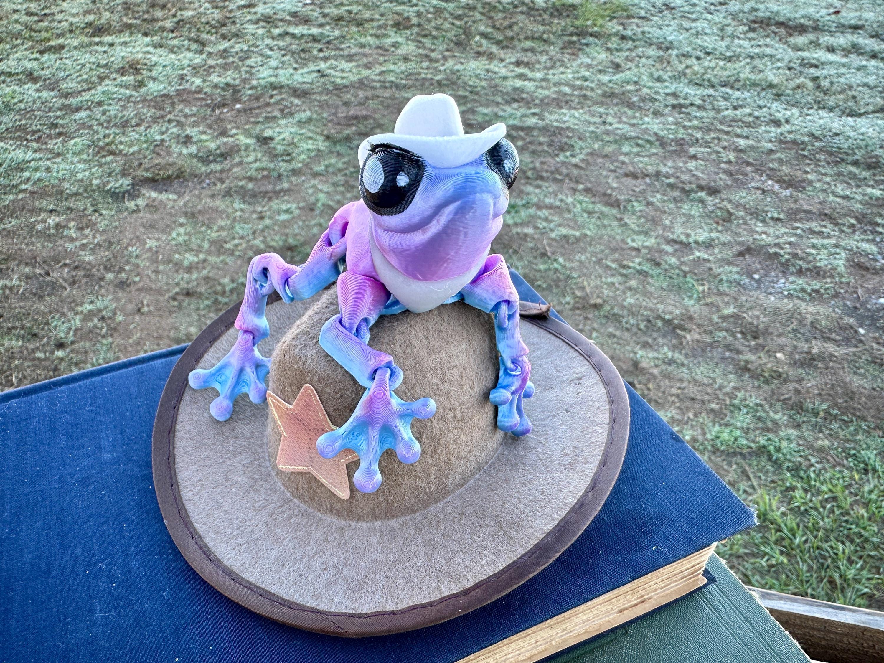 Cowboy Frogs - 3D Printed Sensory Articulated Fidget Toy - Design by ...