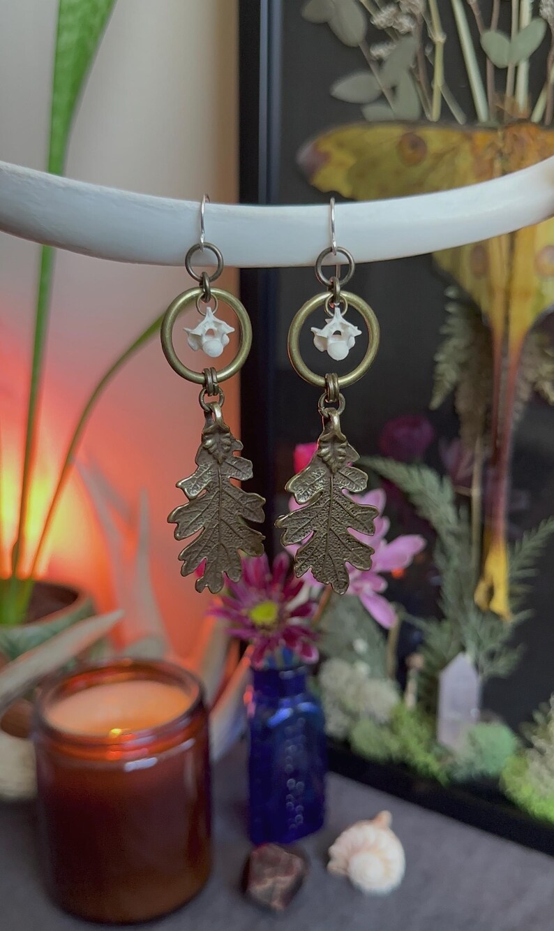 Burmese Python Vertebrae & Brass Oak Leaf Earrings Gothic Punk Witchy ...