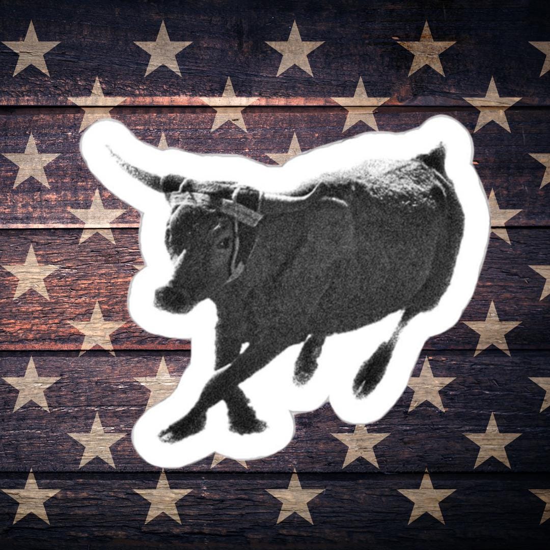 Team Roping Steer Sticker, Western Rodeo Vinyl Decal - Etsy