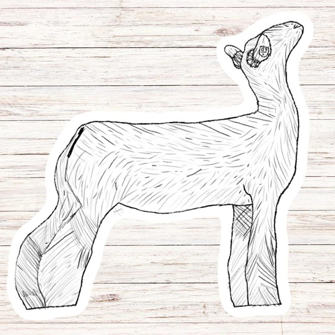 Lamb Art Sticker, Stock Show Sticker, Black and White Sticker, Show ...