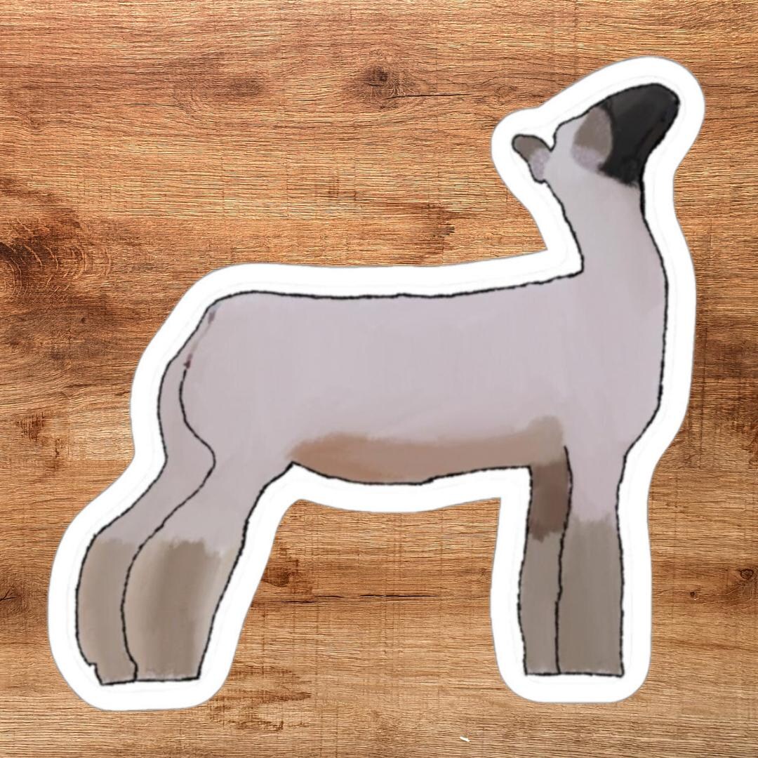 Show Lamb Sticker, Realistic Lamb Sticker, Retro Sheep Sticker, Blended ...