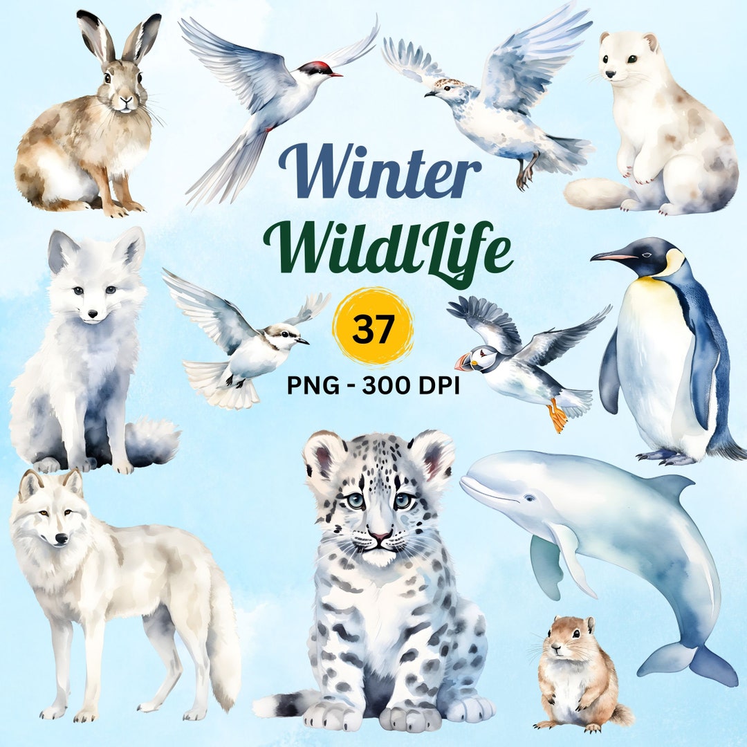 Winter Wildlife Clipart, DIGITAL DOWNLOAD, Christmas Animal Set ...
