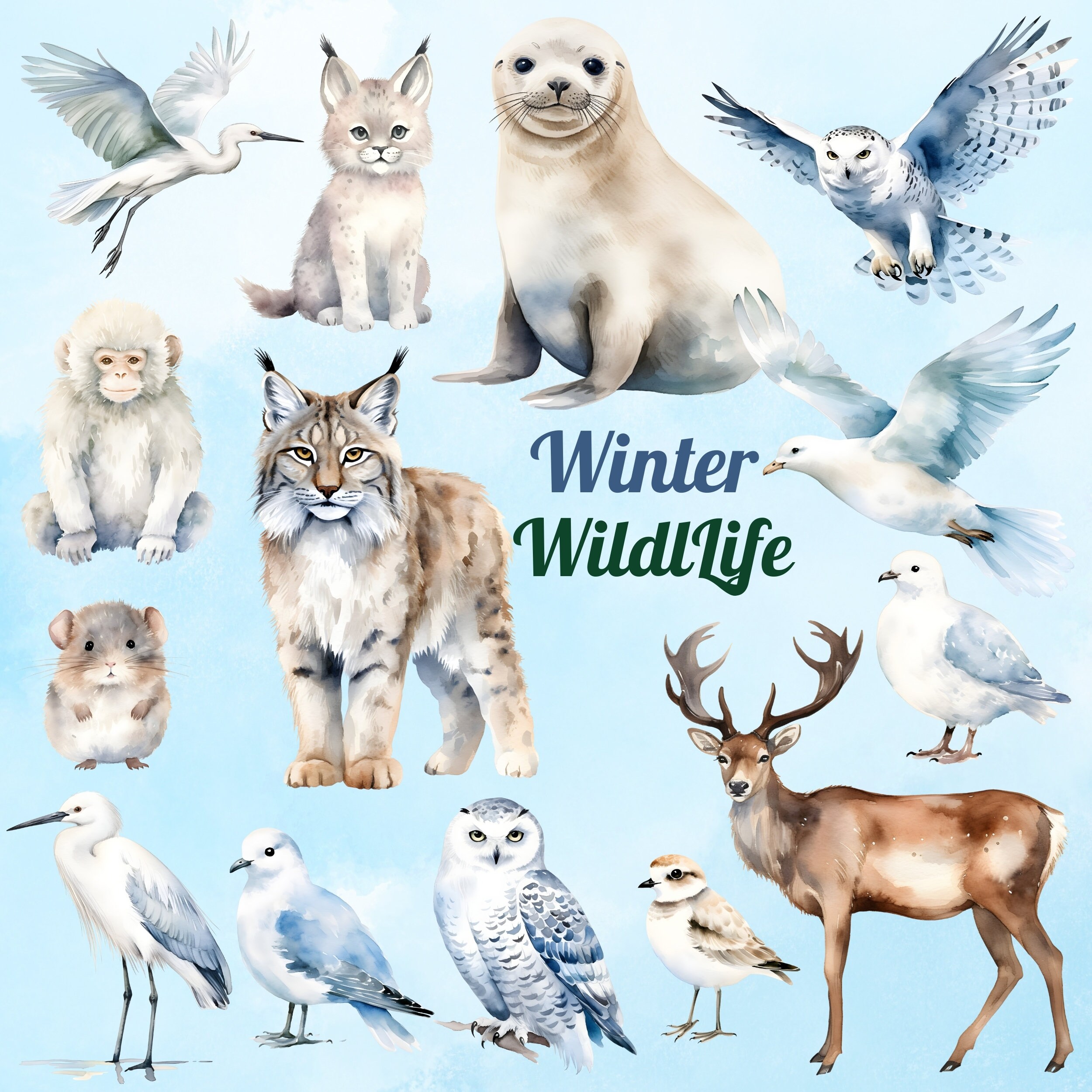 Winter Wildlife Clipart, DIGITAL DOWNLOAD, Christmas Animal Set ...
