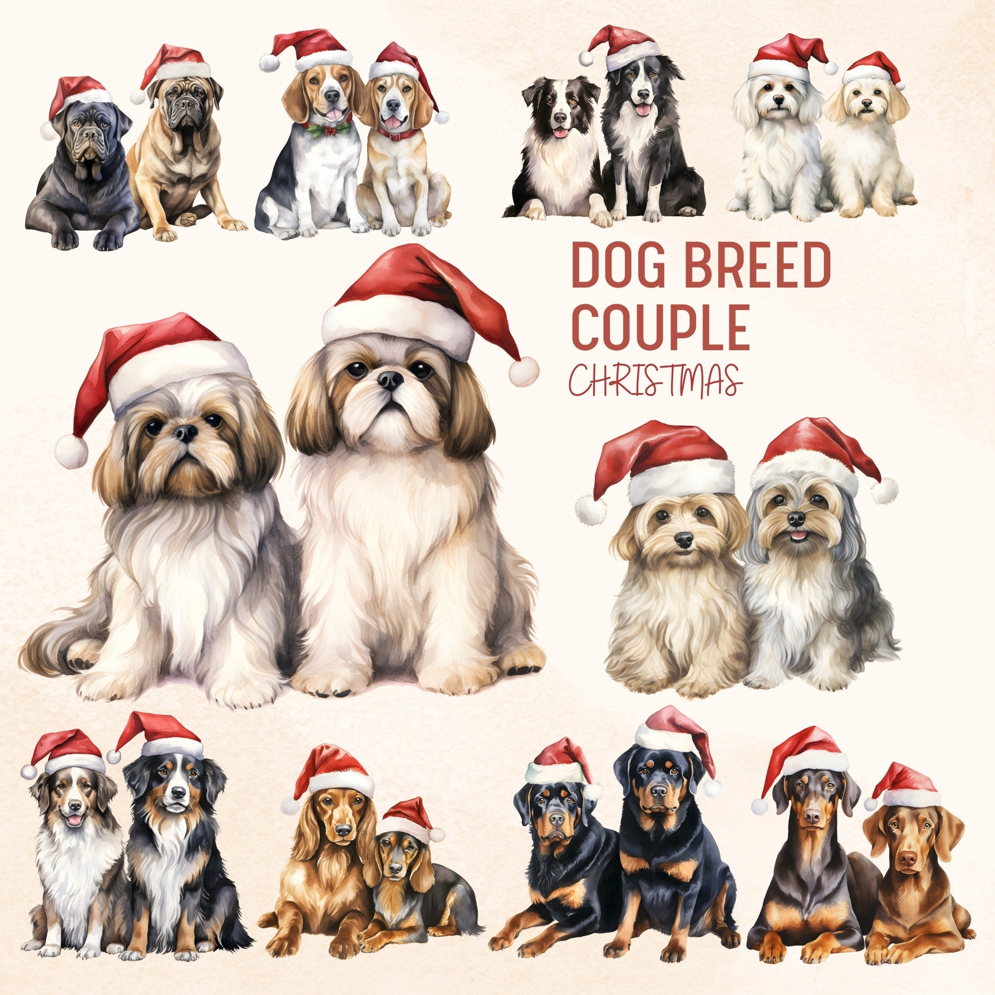 Watercolor Couple Dog Clipart, 39 Dog Breeds Clipart Bundle, Full Body ...