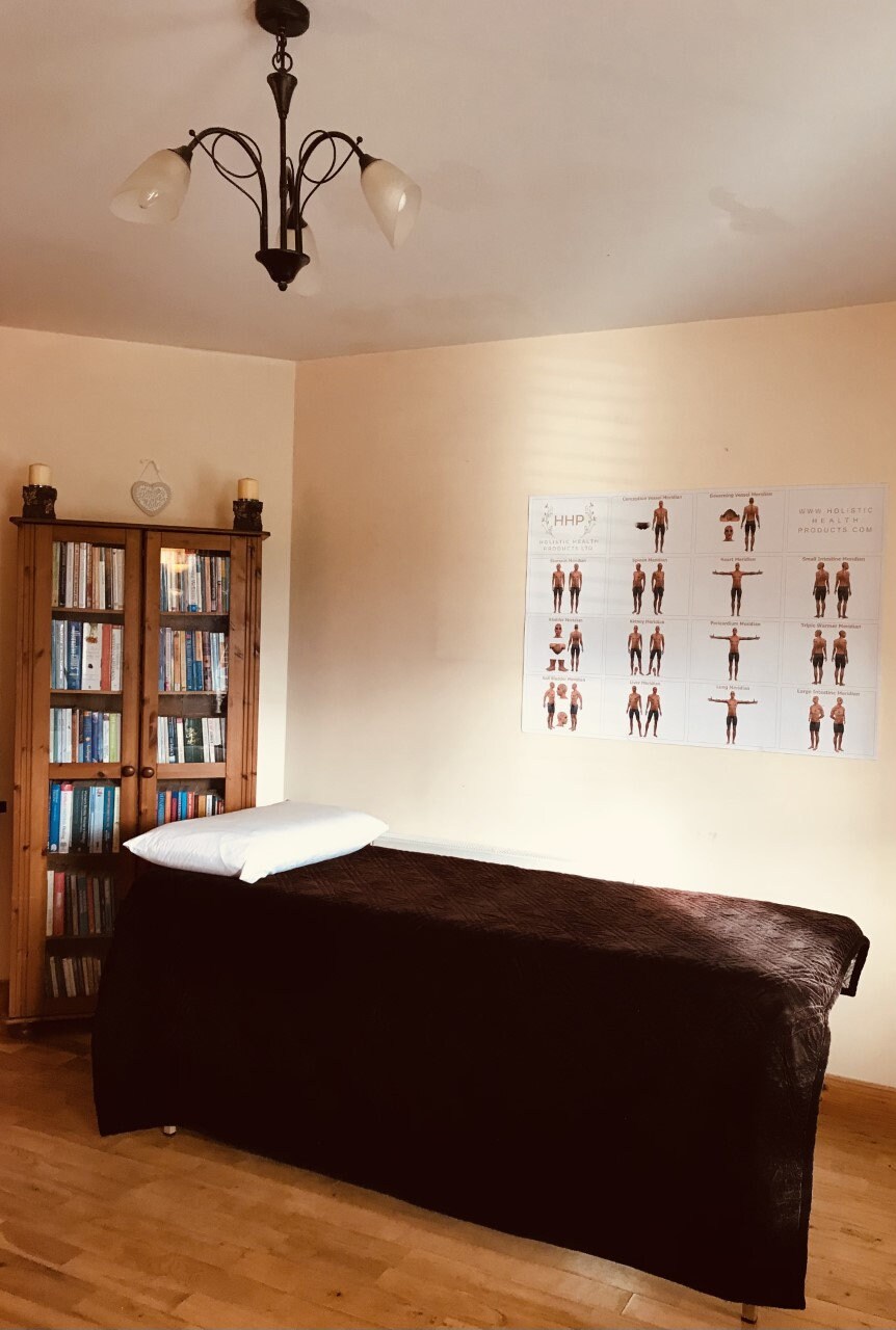 Acupressure Meridian Extra Large Wall Chart Full Color - Etsy