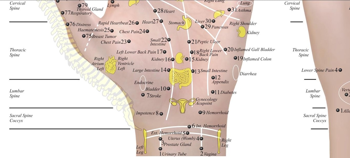 Acupressure Hand Chart PNG Reflexology & Meridian Points Digital ...