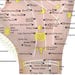 Acupressure Hand Chart PNG Reflexology & Meridian Points Digital ...